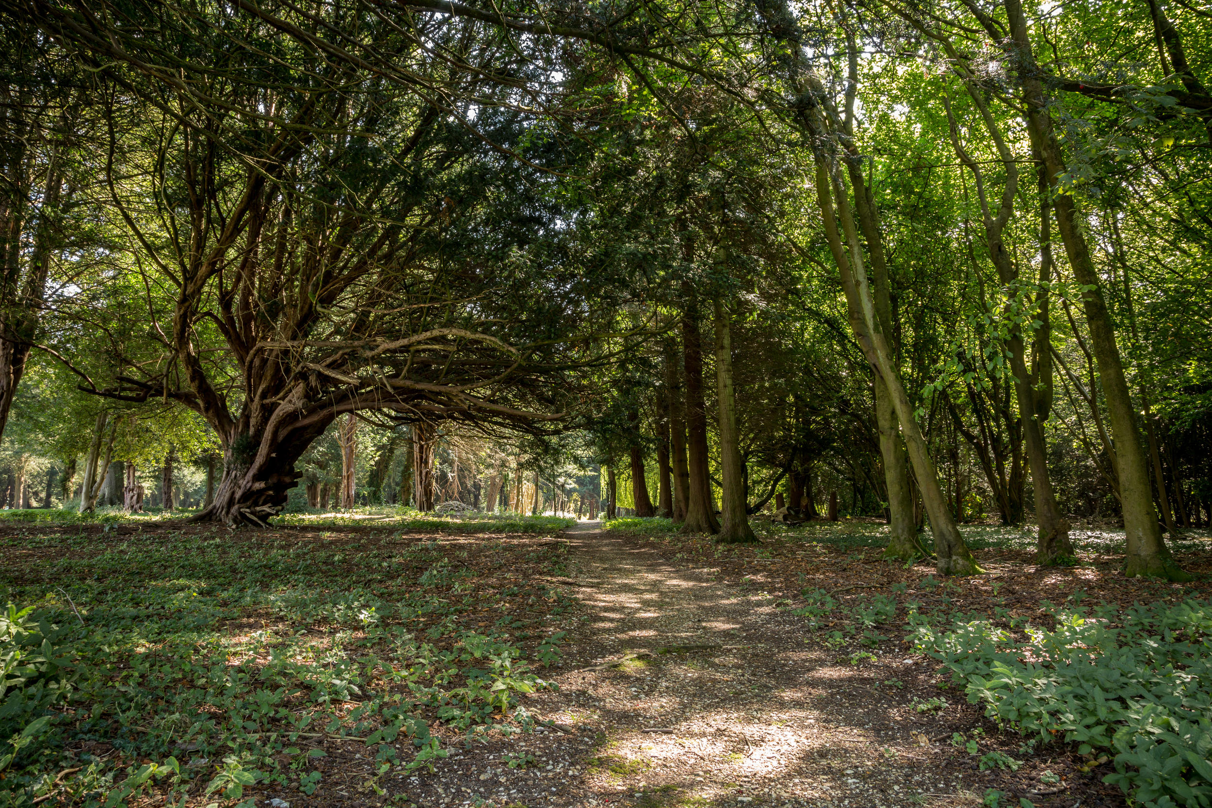 Gallery | Oakley Hall Hotel Basingstoke